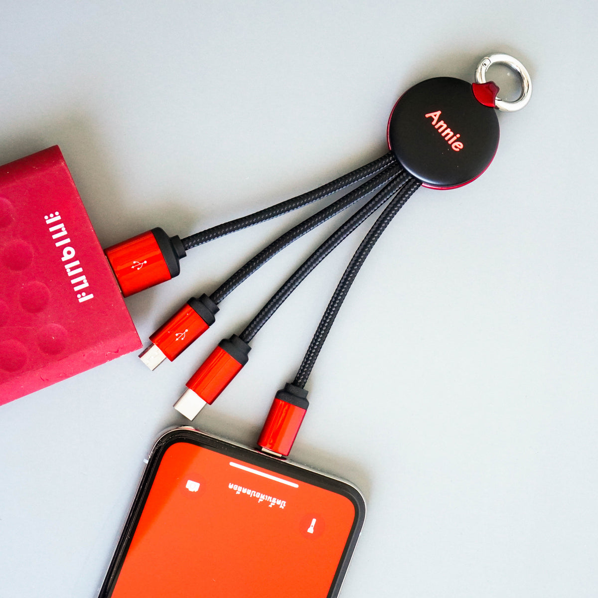 POWER BANK AND CHARGER SET – Folio Brand